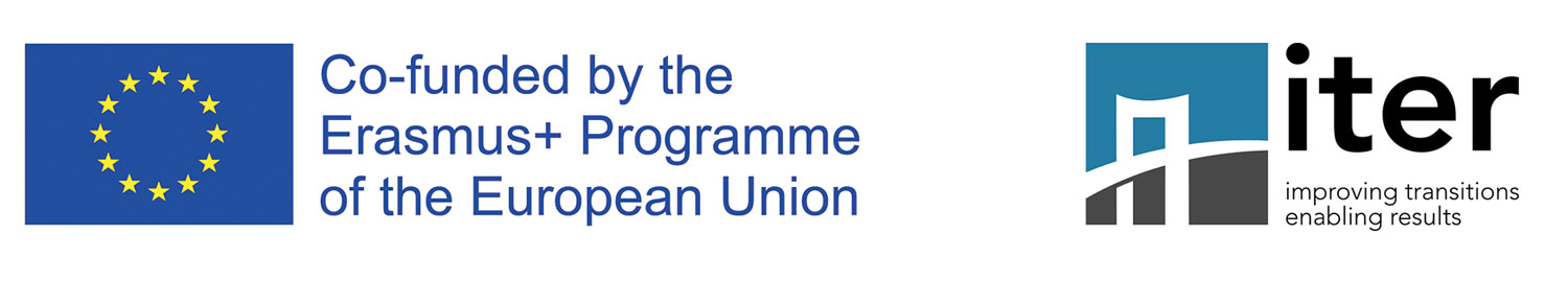 Bridging the Gap – Supporting Sustainable Learning and Work for NEET ...